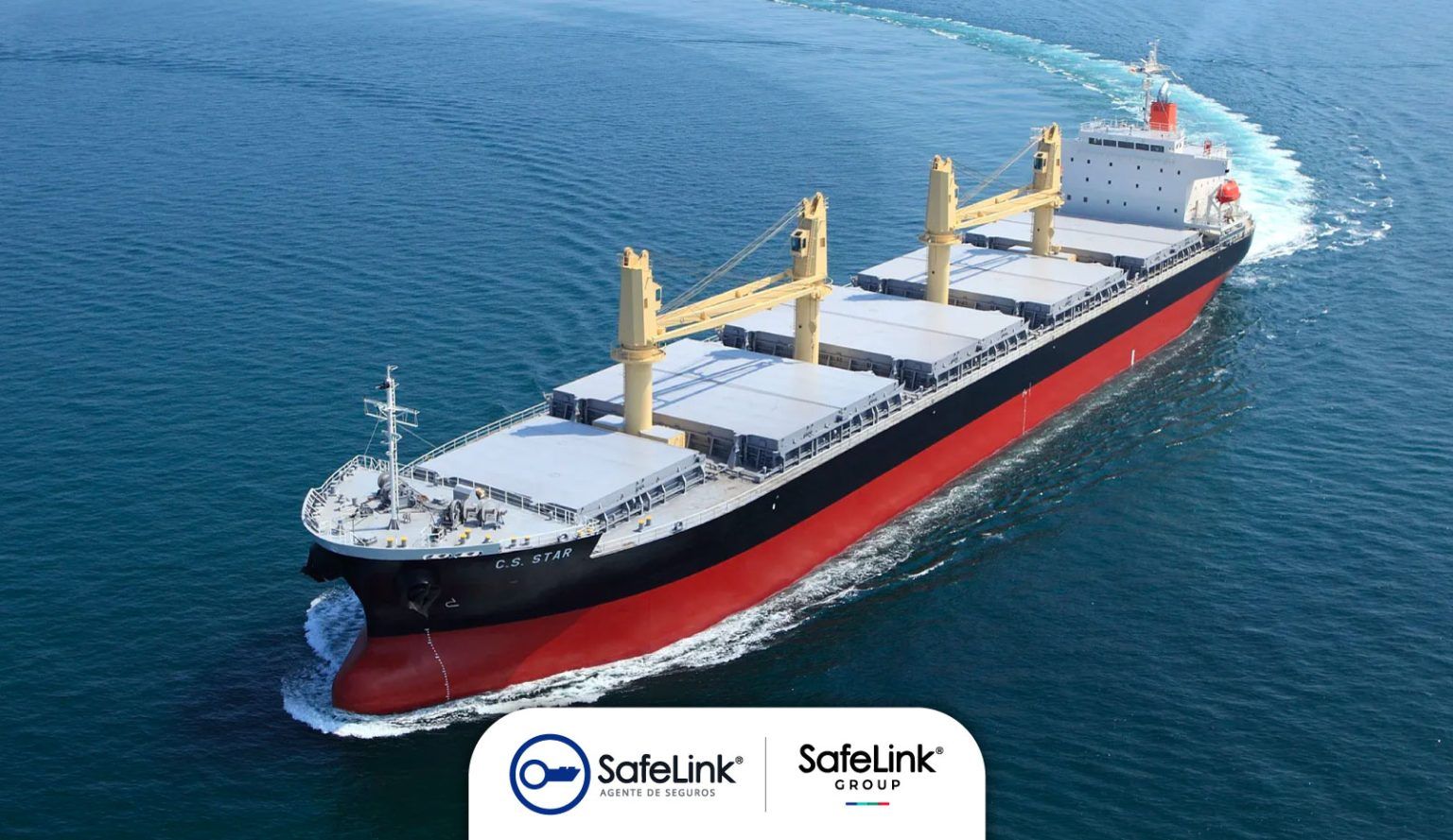 Buques graneleros: ¿cuántos tipos hay y qué mercancías movilizan?